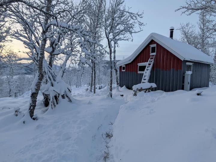 Northern Lights Cabin In Winter Wonderland - Norway