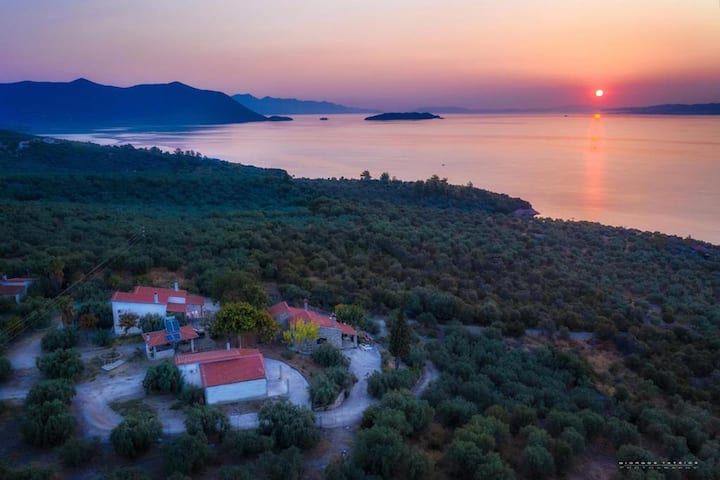 Six Independent Houses By The Sea. - Greece