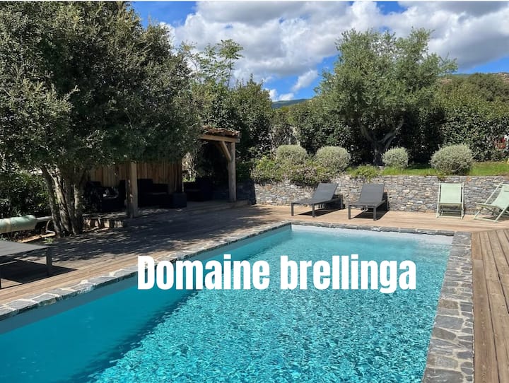 Villa En Pierre D'orezza Piscine Chauffée - Porto-Vecchio