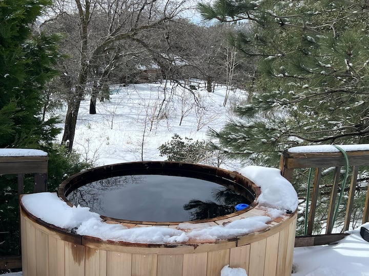 Spring Has Sprung. Apple Blossoms. Pets Ok. - Lake Arrowhead, CA