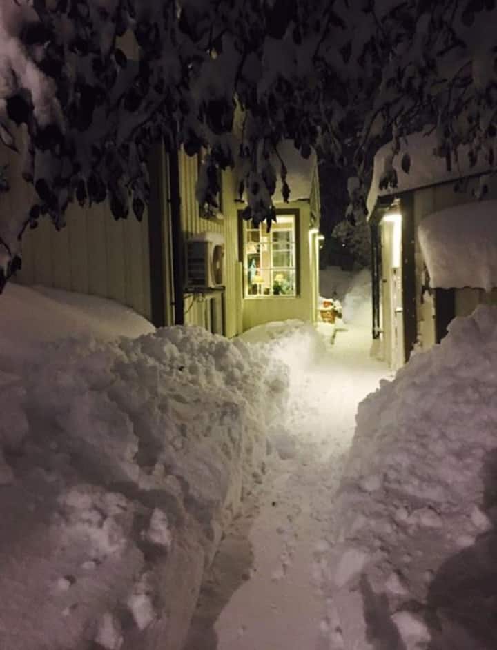 Congés Pendant Les Fêtes De Noël Et Du Nouvel An - Stockholm