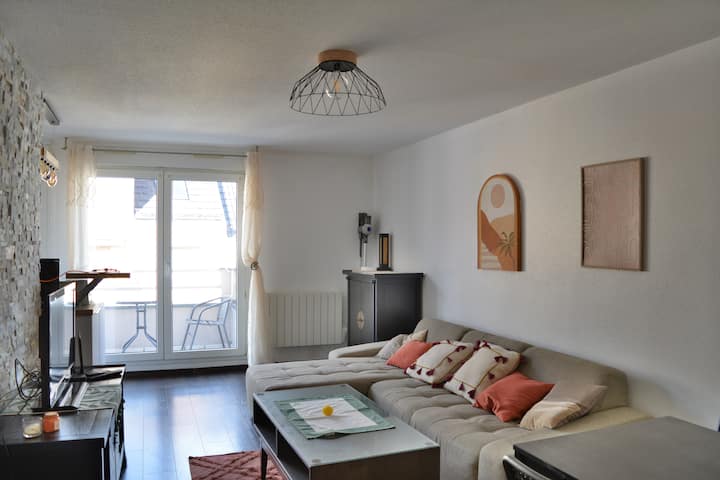 Cocon Proche Centre Ville - Universite de Strasbourg