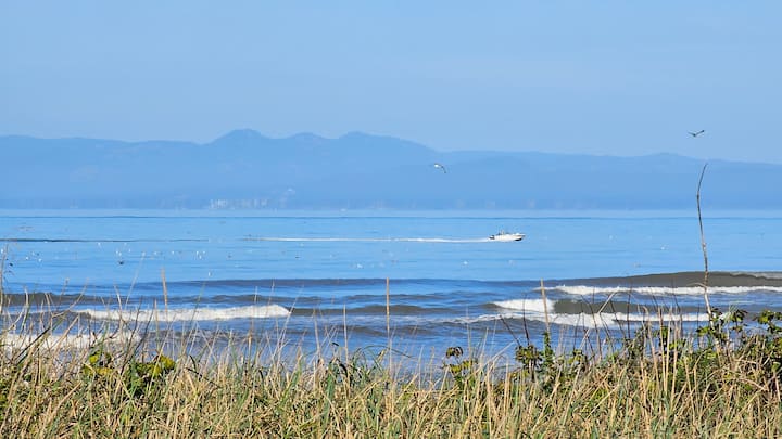 Lyre River Hideaway | Private Beach | Close To Onp - Lake Crescent, WA