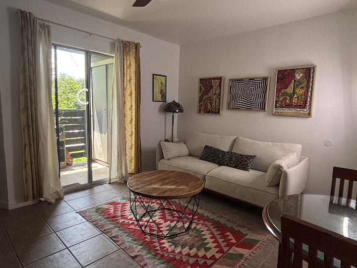 1/1 Condo 5 Mins To Downtown & Ladybird Lake - Austin, TX