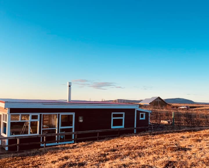 Vin (Short For Vingólf) - Iceland