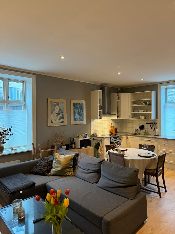 Sentral Leilighet Rett Ved Samfundet - Trondheim