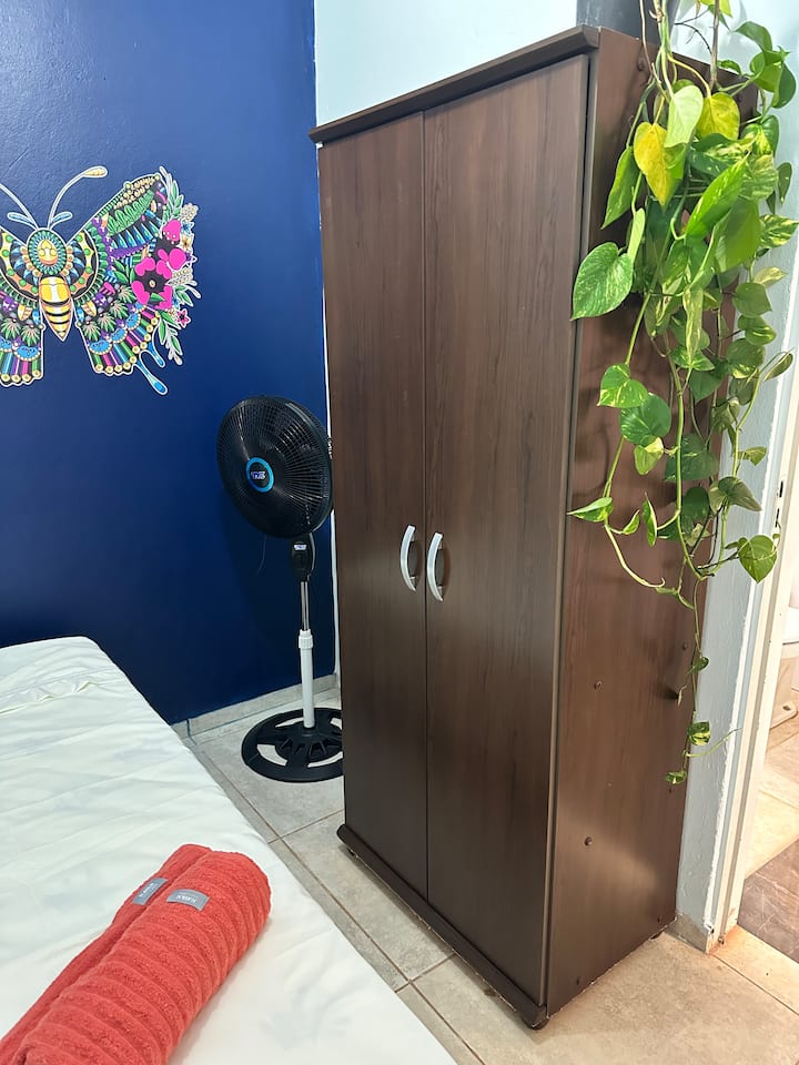 *Quarto Metamorfósico* - Rio Verde