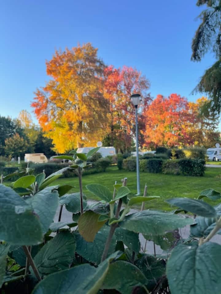 Mobile Home 3 Chambres Pour 6 Personnes - Châteauroux