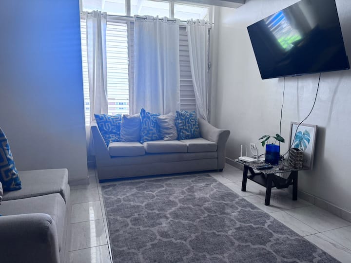 Beautiful 2 Br Apt   Near Devon House In Kingston - Kingston