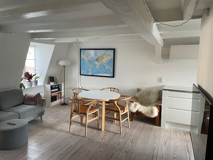 Fantastic Apartment Right In Middle Of Copenhagen - Copenhaguen