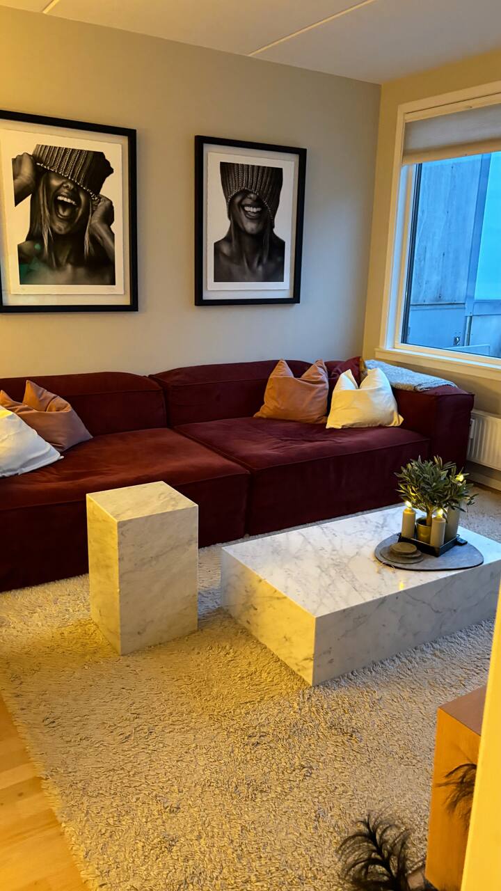 Magnifique Appartement Au Centre-ville D'oslo - Oslo