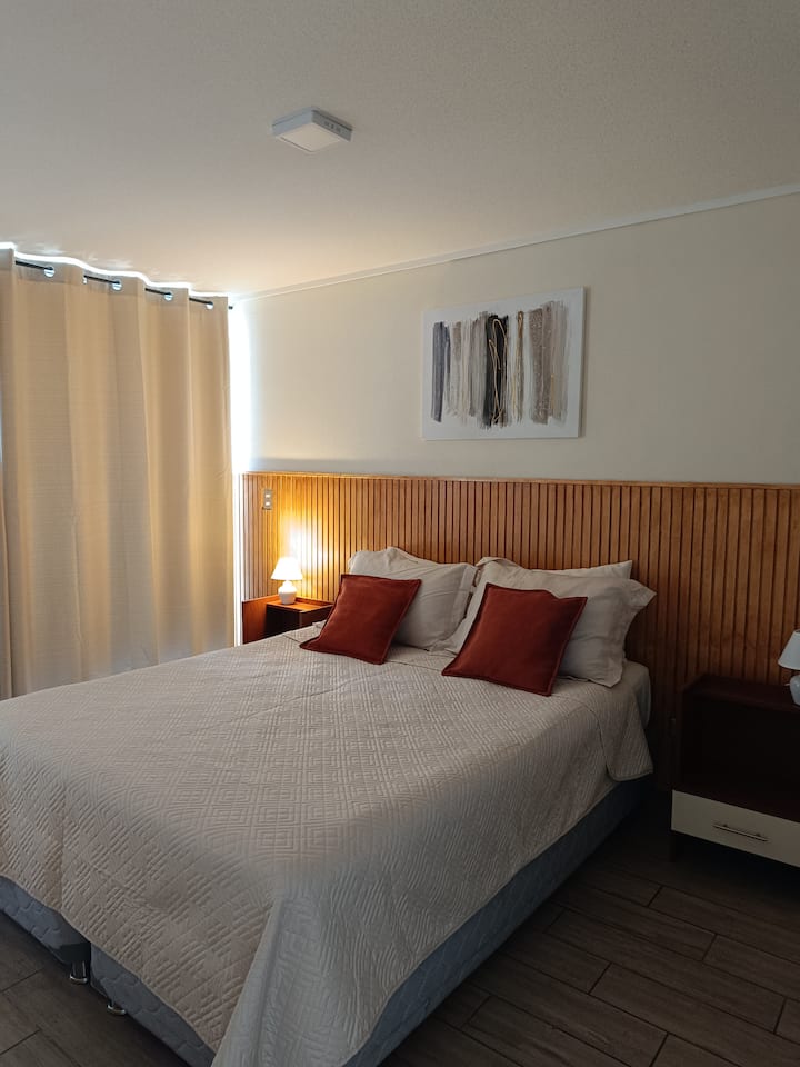 Cozy, Family-friendly Apt. In Downtown Santiago - Santiago