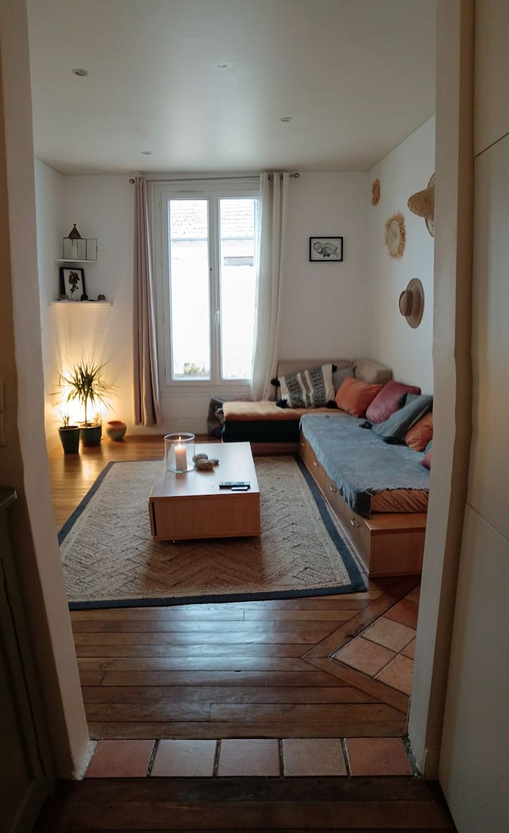 Bel Appartement Dans Le Centre Ville De Lagny - Lagny-sur-Marne