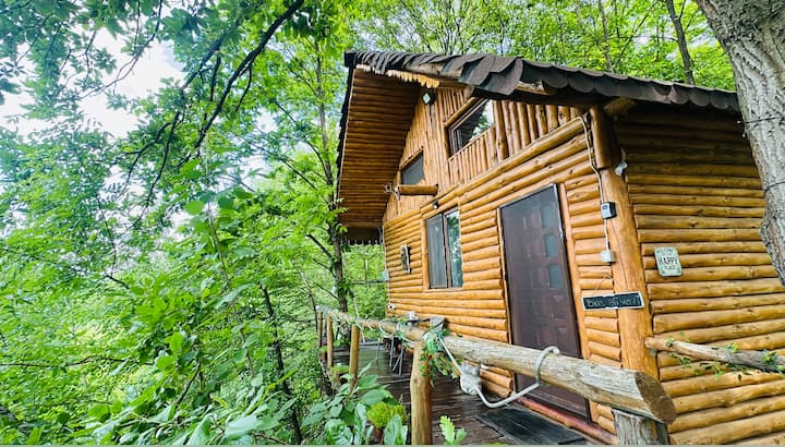 Colț Verde 1 - Log Cabin In The Forest-experience - Județul Dolj