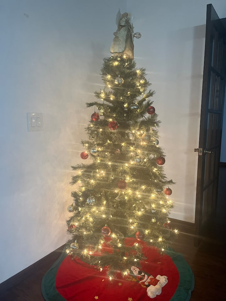 Christmas Special! Gorgeous Lake View Retreat! - Inverness, FL