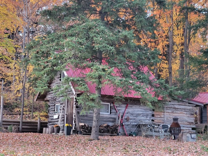 Lavender Farm Century Cabin - Hockley Valley