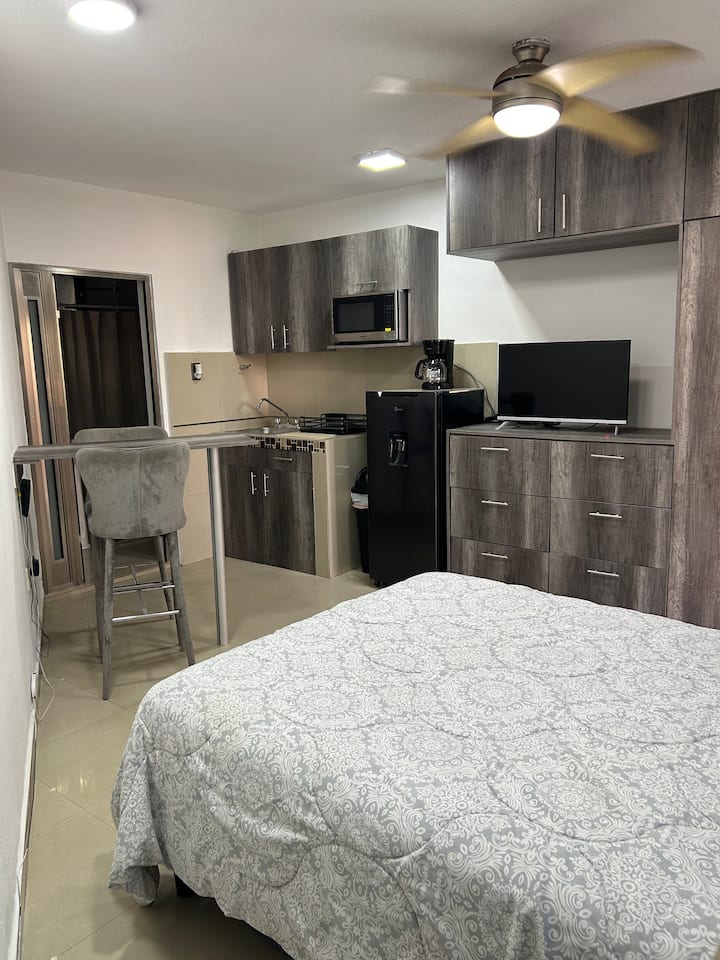 Increíble Estudio En El Centro De Cancún. - Cancún