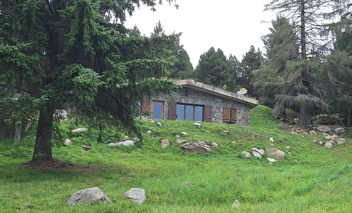 Paisible Chalet En Bordure De Forêt - Bolquère