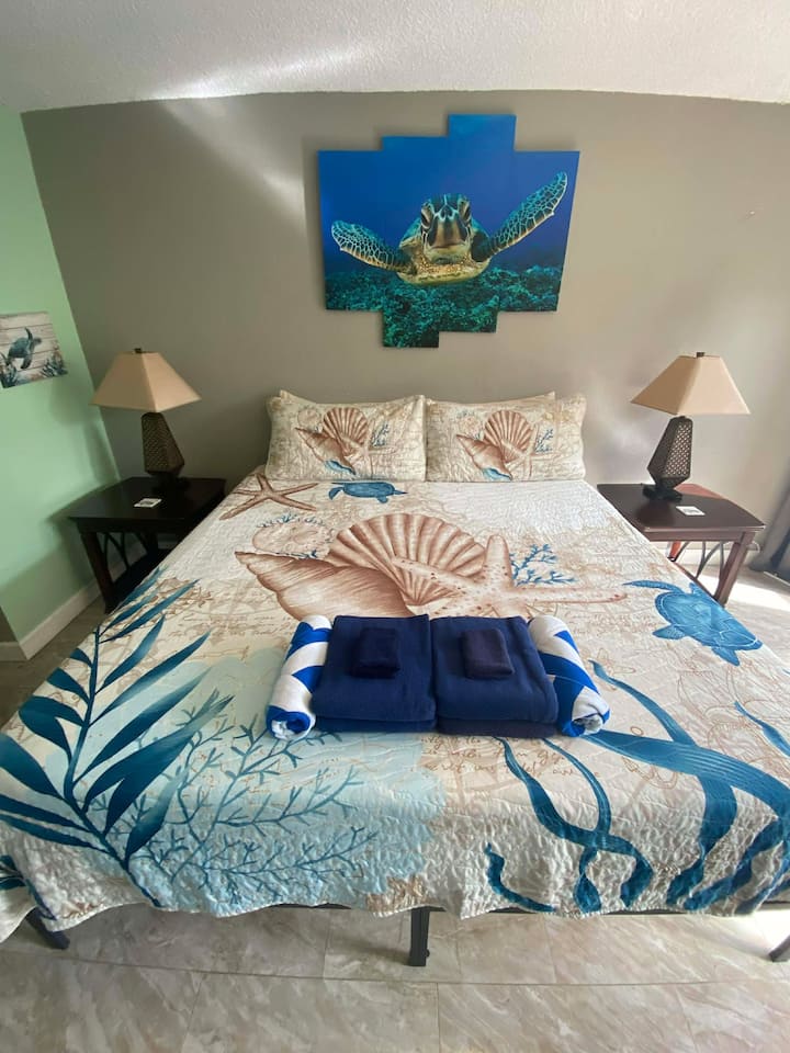 Sea Turtle Haven ~ Ocean Front Complex ~ Pool Open - Daytona Beach, FL