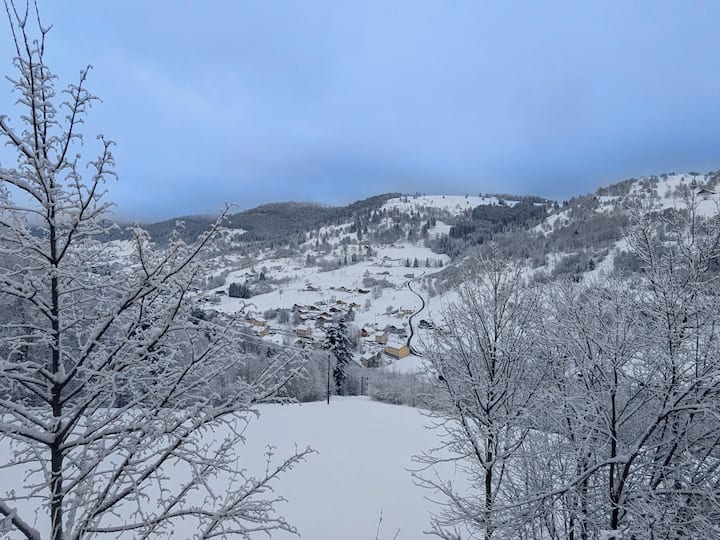 Oréade - A Deux Pas De Tout - La Bresse