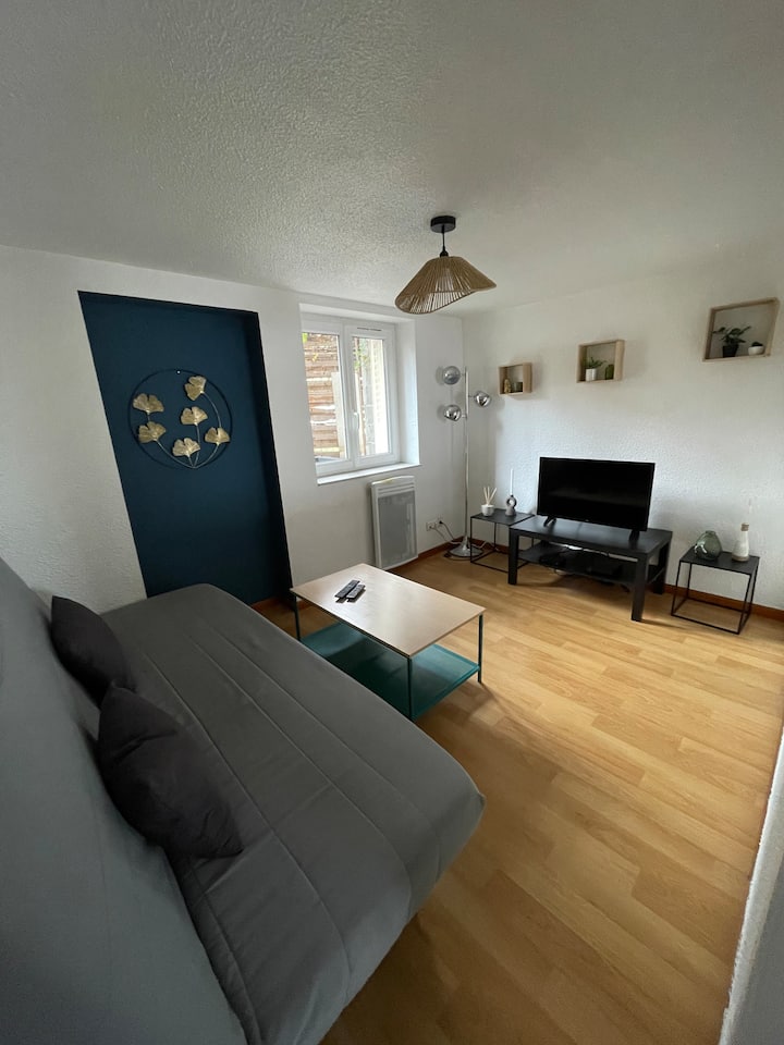 Appartement Avec Terrasse,spacieux Et Fonctionnel - Aubière
