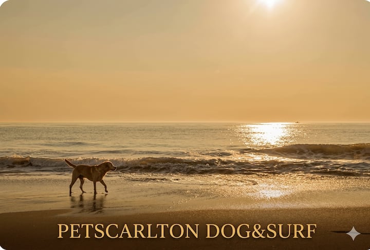 海の目の前‼️🌊ドッグラン130坪に拡大✨bbq🥩🥩🥩【petscarlton Dog & Surf】 - 鹿嶋市