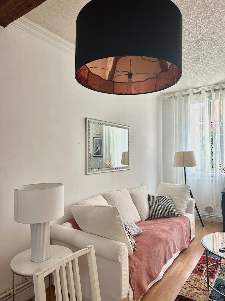 Appartement En Plein Cœur De Toulouse - Toulouse