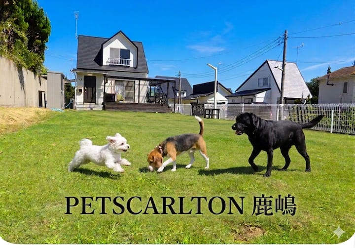 １００坪のドッグランで思い切り走らせたい‼️と オーシャンビューが叶う【Petscarlton 鹿嶋】 - 鹿嶋市