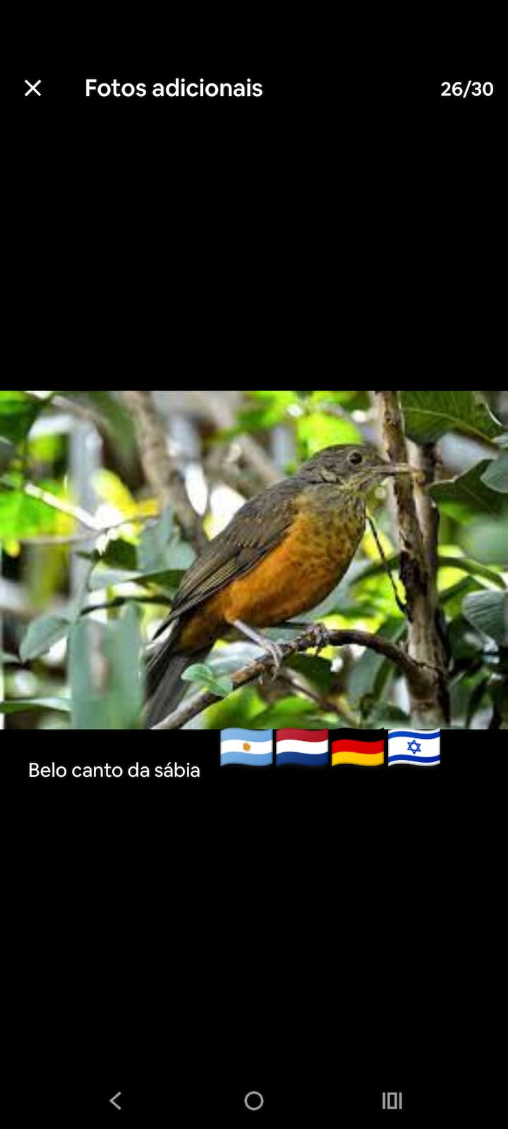 Casa Colonial Canto Da Sabiá - Ilha Grande