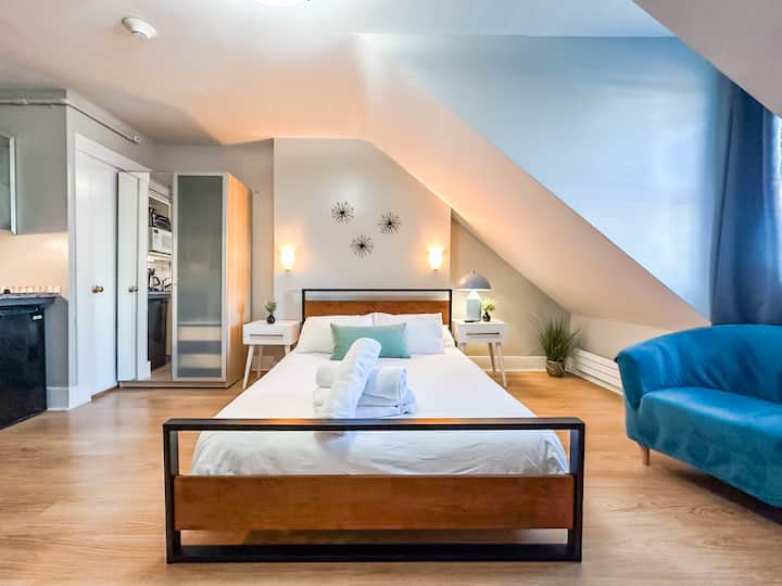 (T9) A+ Location, Walkable To All, Budget Friendly - Jamaica Plain - Boston