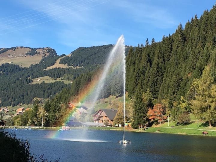Chalet Bord Du Lac Multipass Offert - Châtel