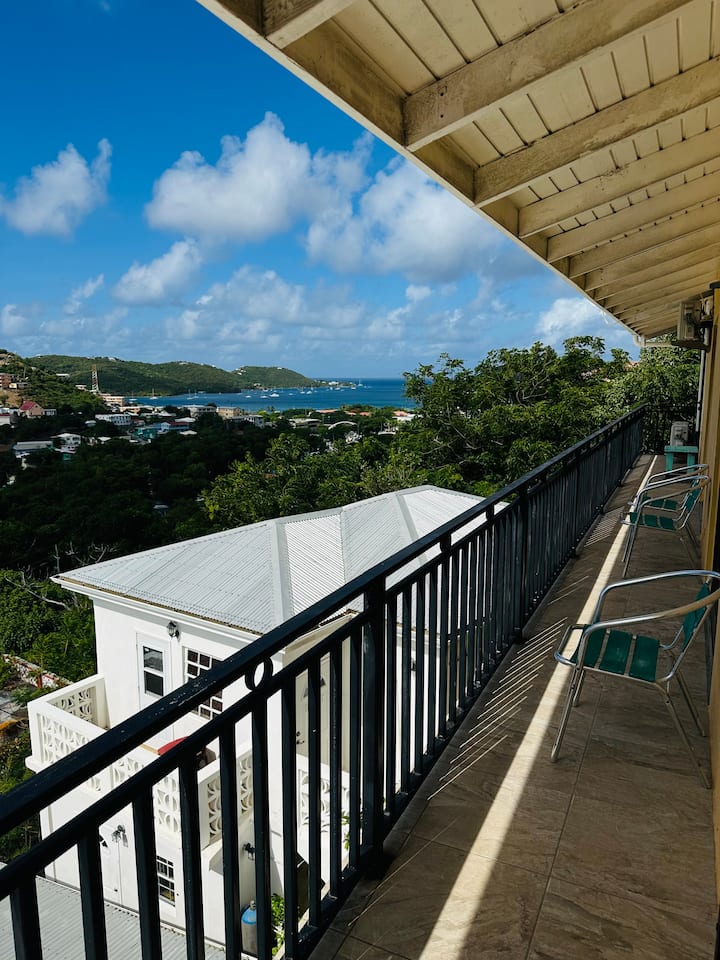 Venzen Villa - Saint Thomas