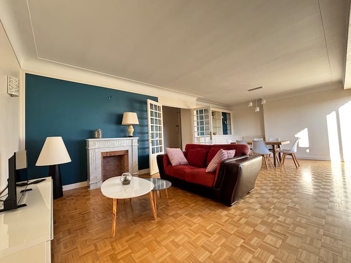 Magnifique Vue Pyrénées - Pau