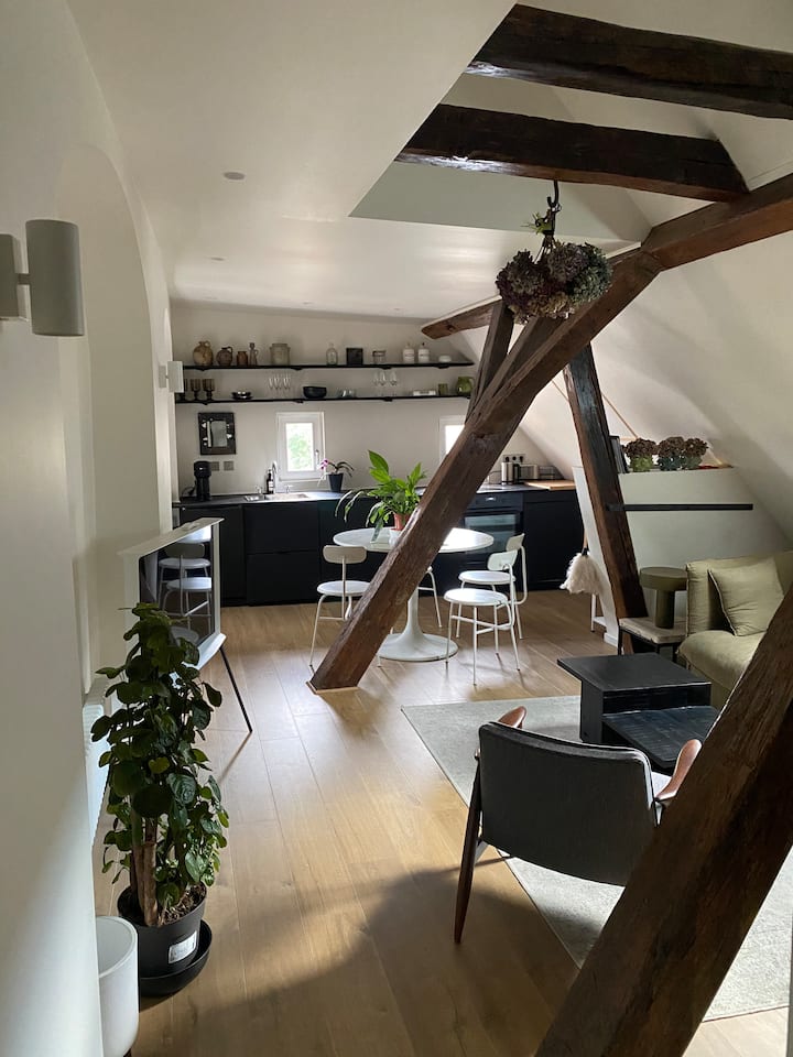 Strasbourg Sous Les Toits-vue Cathédrale - Estrasburgo