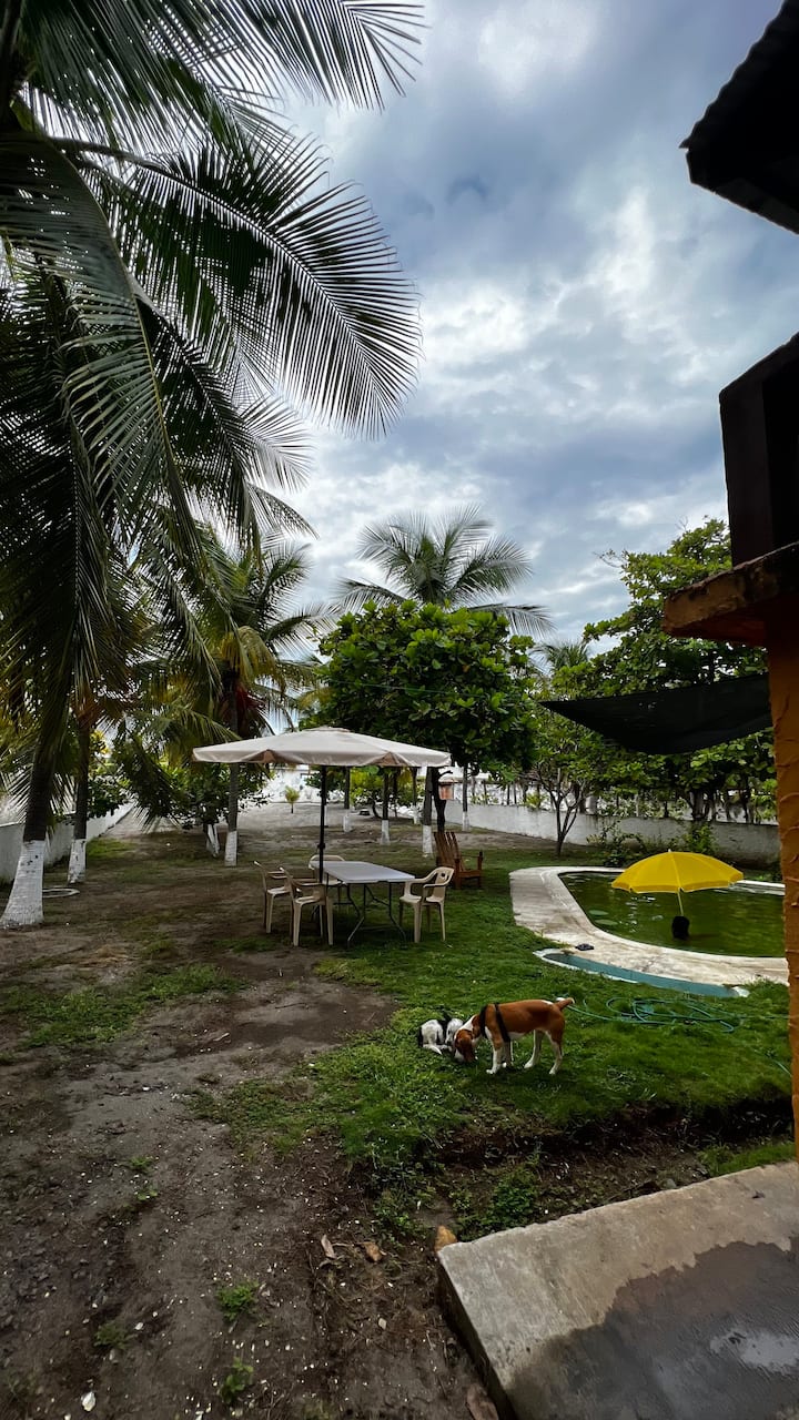Rodri’s Place - La Blanca