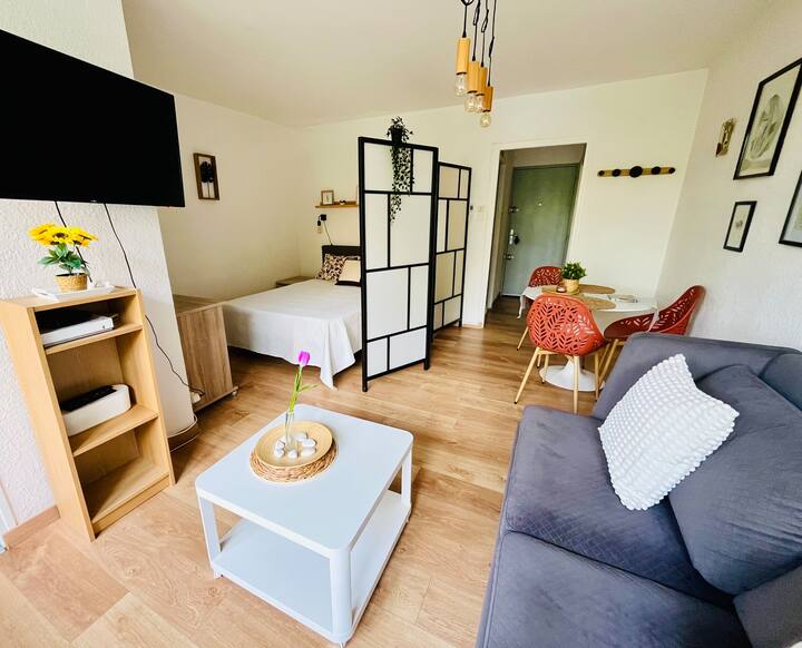 Superbe Appartement Avec Wifi Et Parking Gratuit! - Le Pontet