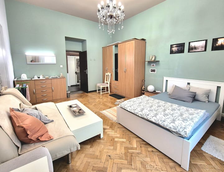 Truly Cozy & Quiet Guesthouse - 布拉格
