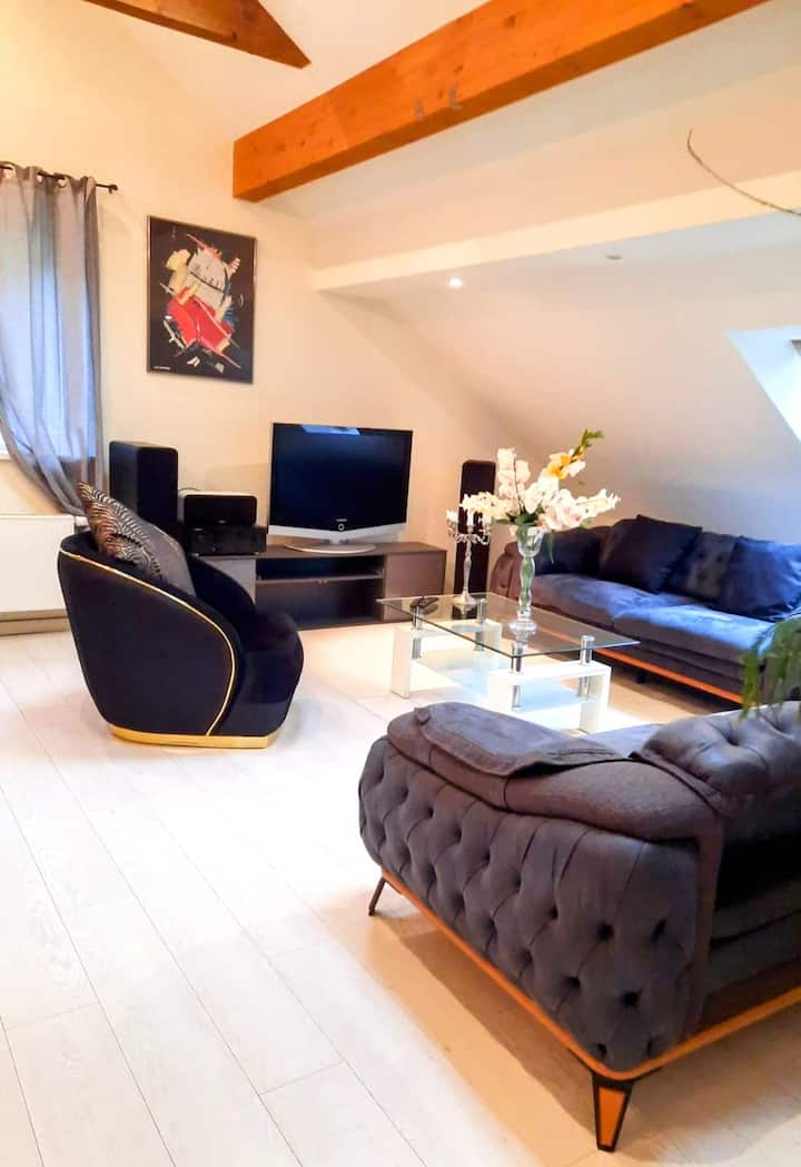 Schones Haus Mit Apartment Zu Vermieten 3000 M2 - Basel
