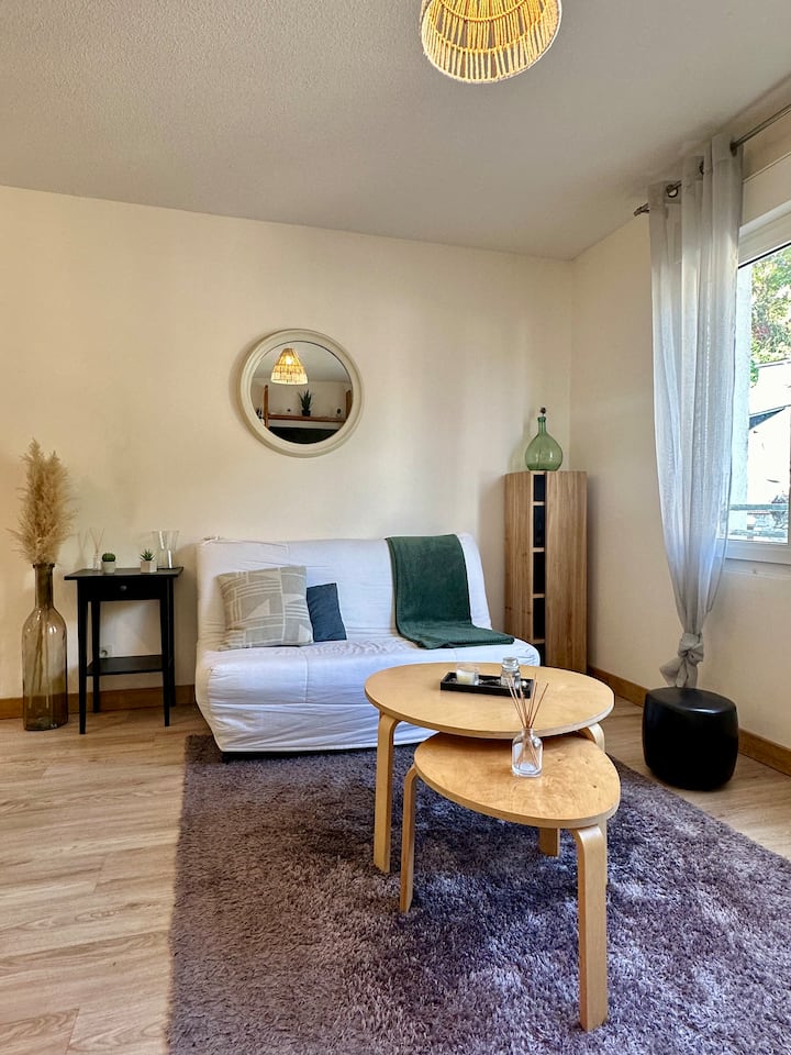 Appartement Dans Le Vieux Blois + Parking - Blois