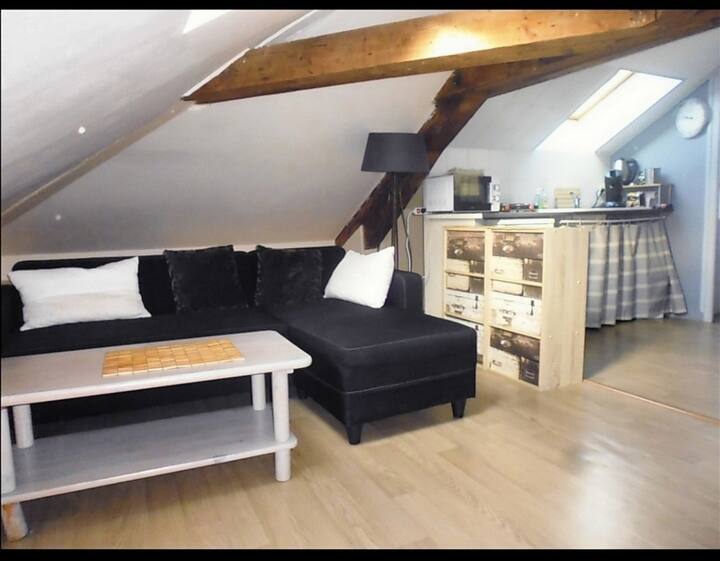 Studio Meublé Sous Les Toits (Quartier Gare) - Amilly