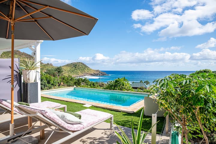 Ti Tortue - Saint-Barthélemy