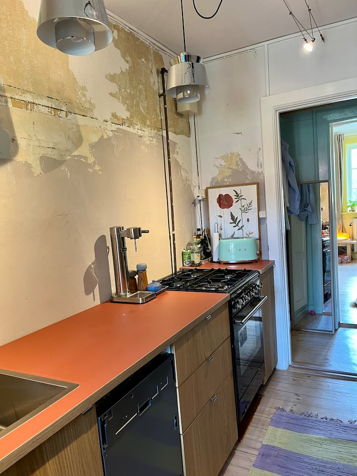 Cute Studio Apt Close To Midtown - Copenhagen