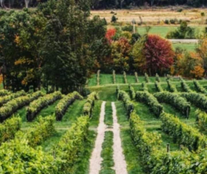 Spacious Home Near Wineries & On Snowmobile Trails - Chautauqua Lake, NY