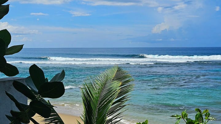 Casa Amavida By Shacks Beach - Isabela