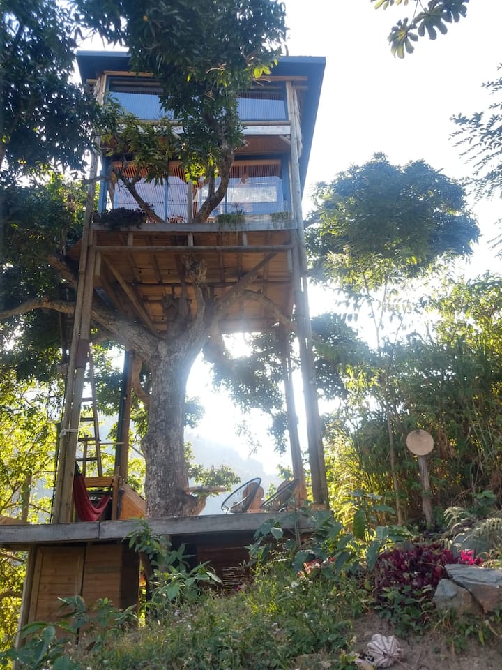 Tree House Tutusoma, Minca - Sierra Nevada - Minca