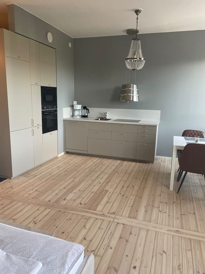 Lovely Studio Rental Unit In Helsinki - Helsinki