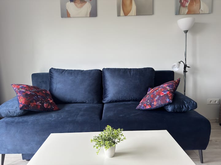 K-town *Apartment Viabaltica 3* - Kaunas