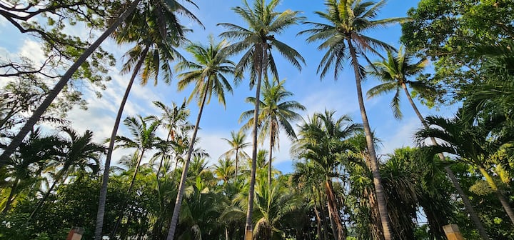 Welcome To Agua Linda - La Libertad, España