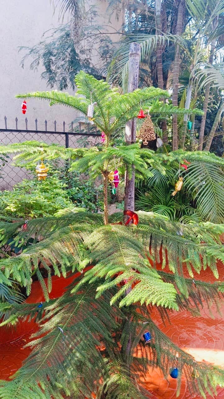 Boho Style Living In Lonavla - Lonavla