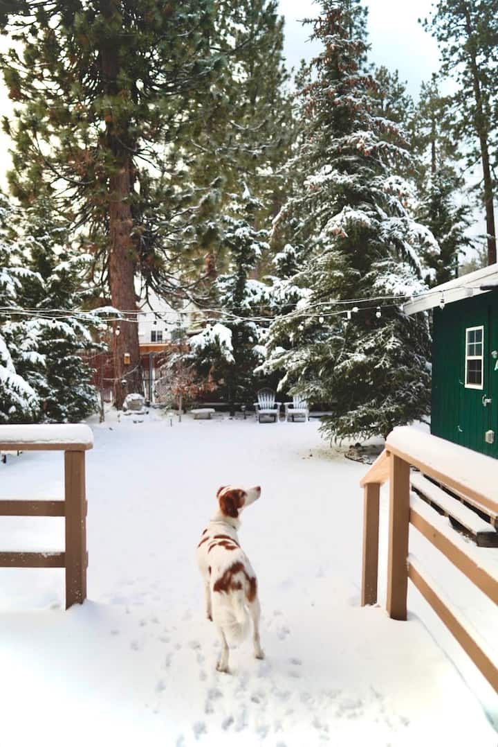 Fenced Yard • Cozy Cabin • Walk To Lake & Village - Big Bear Lake, CA